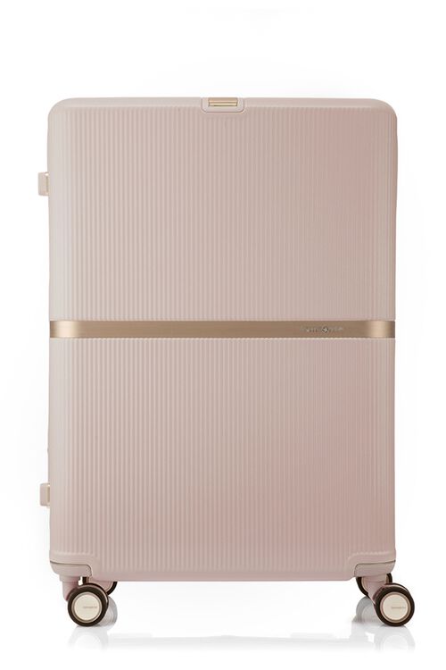 Samsonite Minter Crossbody Clutch Bag